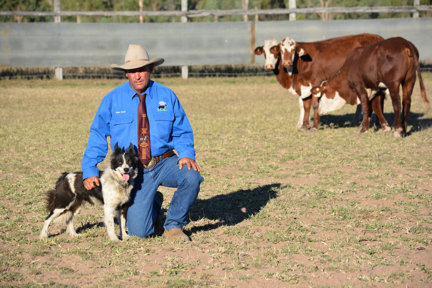 Blogs – Australian Working Stock Dog Magazine