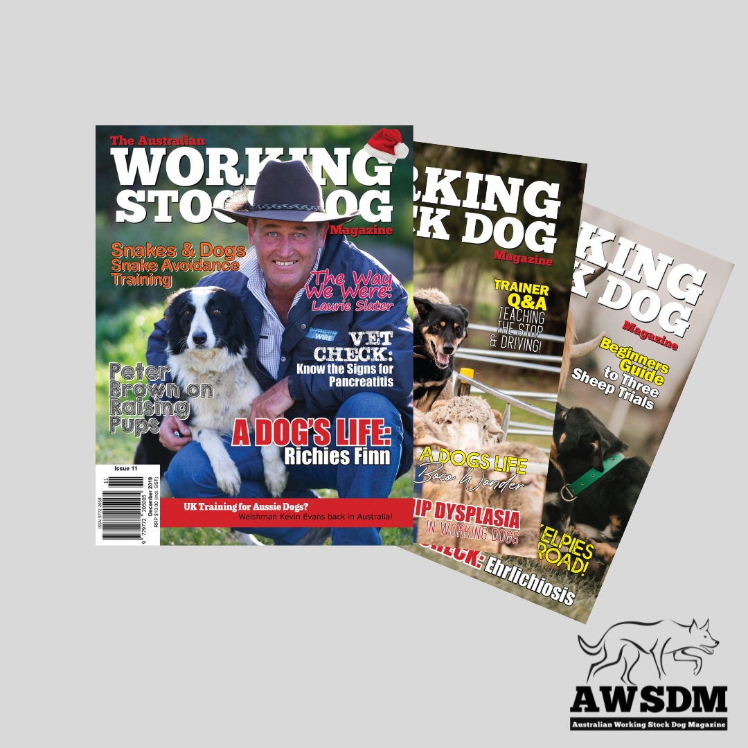Previous Magazine Issues – Australian Working Stock Dog Magazine