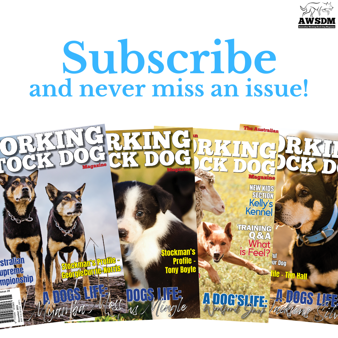 Australian Working Stock Dog Magazine