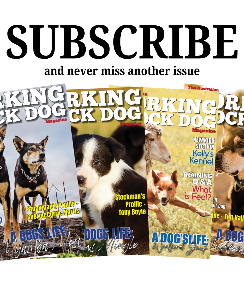 Products – Australian Working Stock Dog Magazine