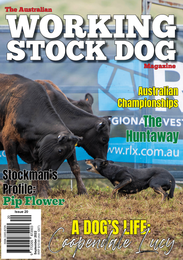 Products – Page 2 – Australian Working Stock Dog Magazine
